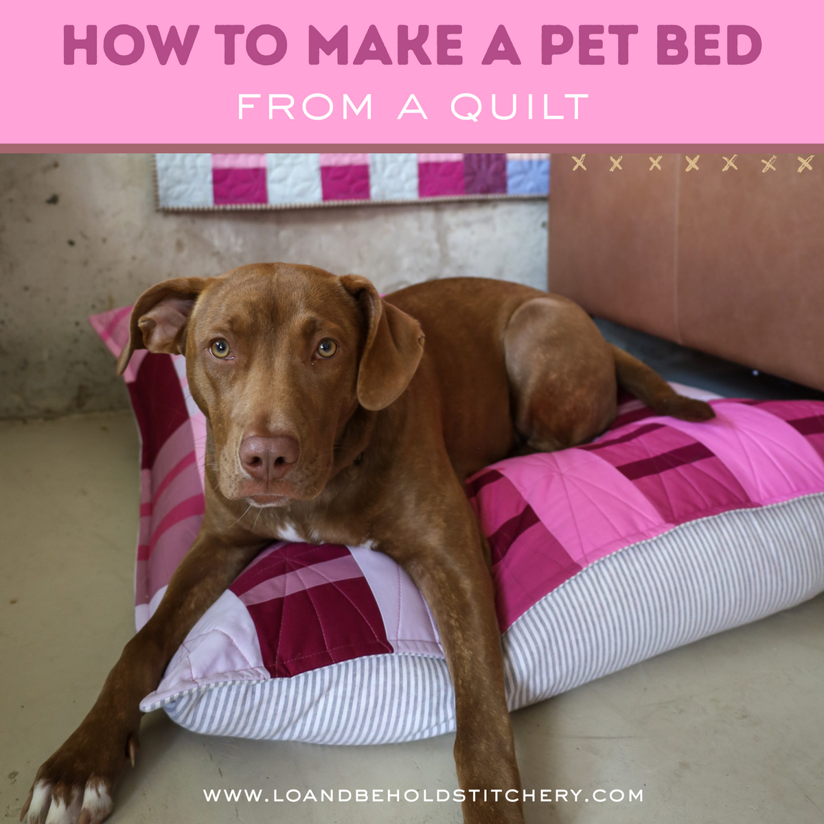 How to Make a Pet Bed from a Quilt – Lo & Behold Stitchery